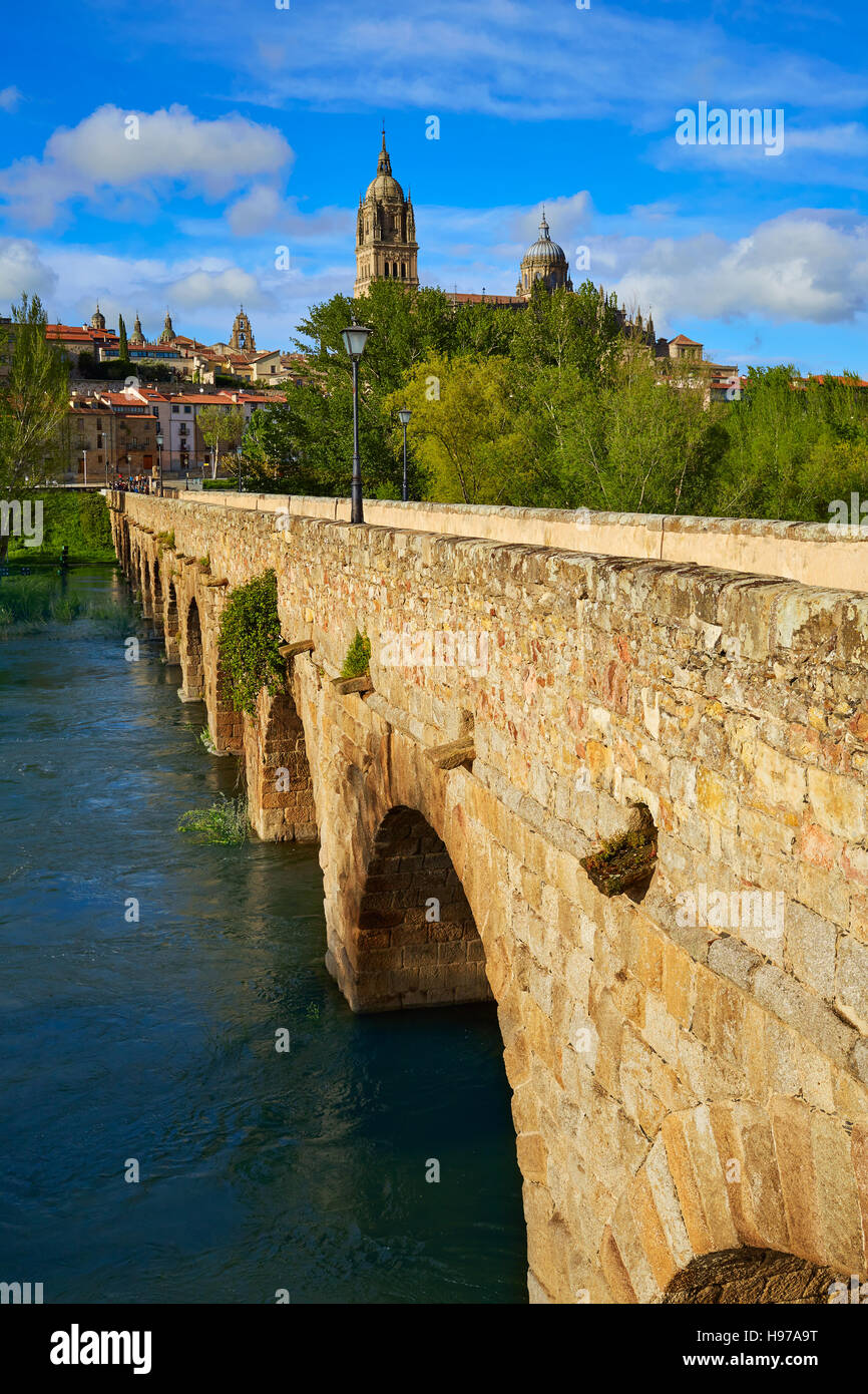 Salamanca skyline and roman bridge over Tormes river in Spain Stock ...