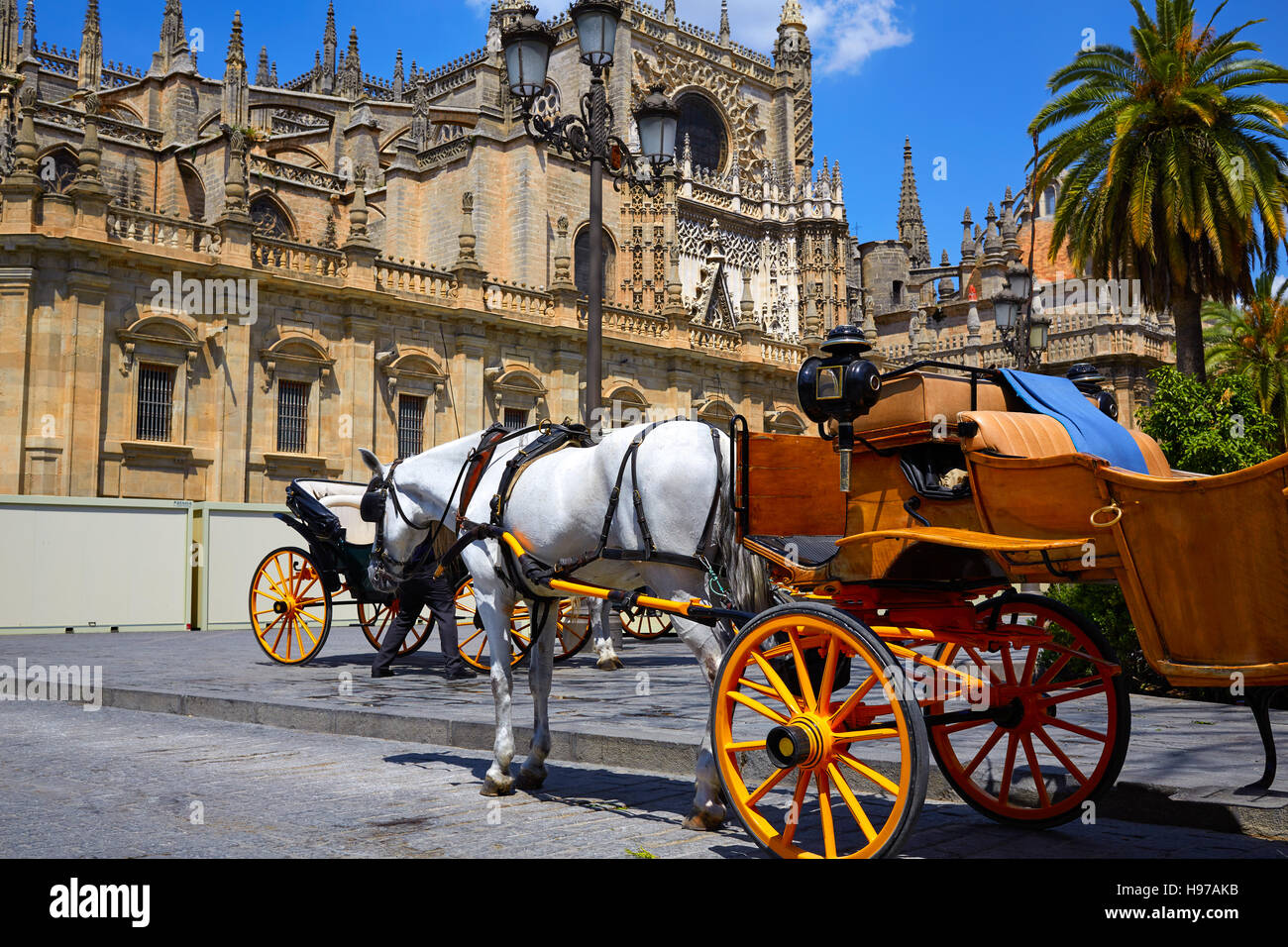 Seville horse carriages in Cathedral of Sevilla Andalusia Spain Stock ...