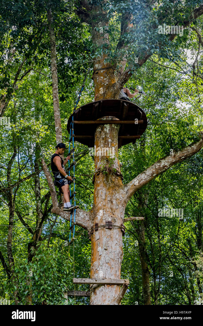 Man and woman at Treetop Adventure park preparing to go along the ...