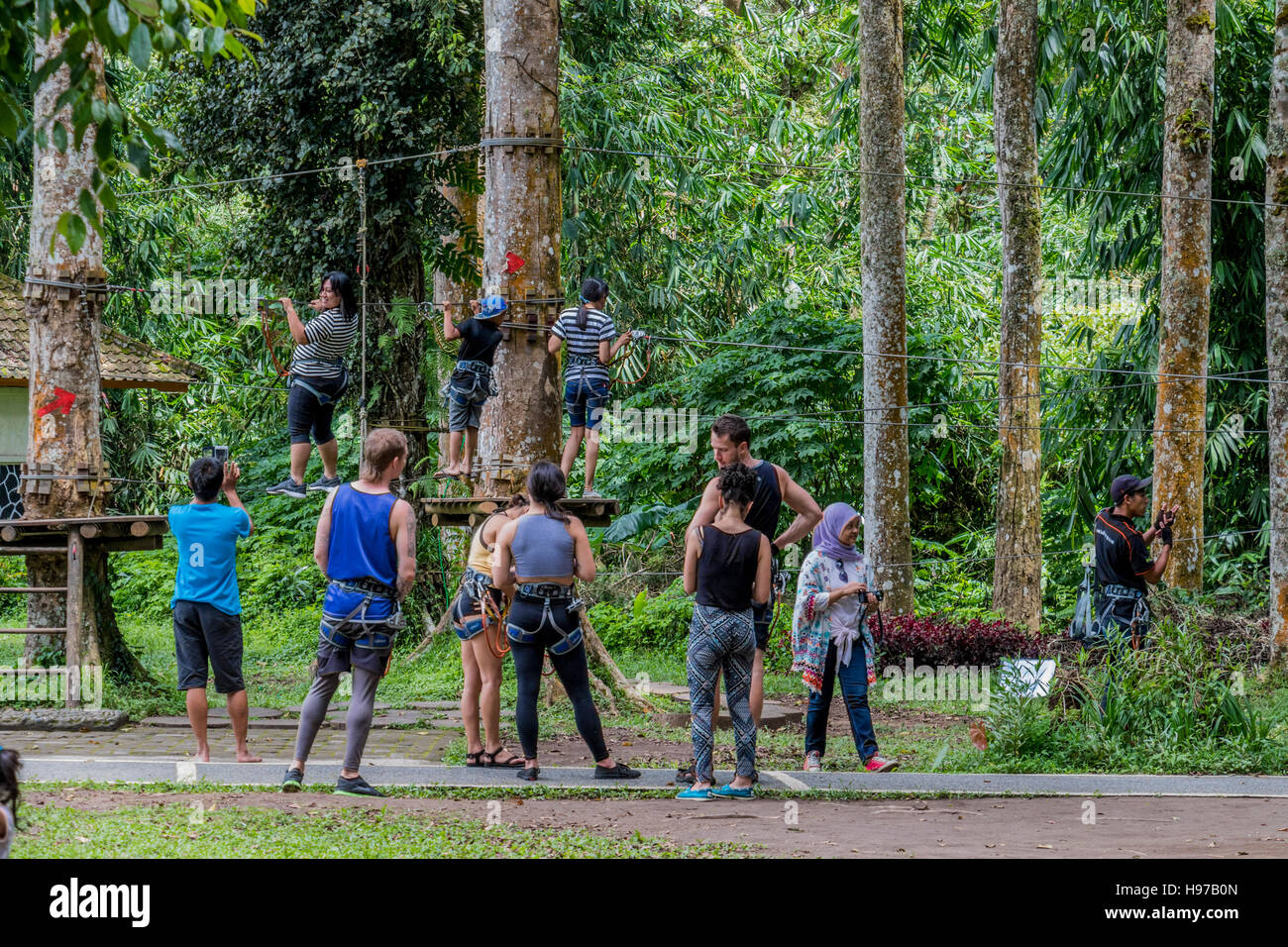 Young people on various obstacles at lower level of treetop adventure ...