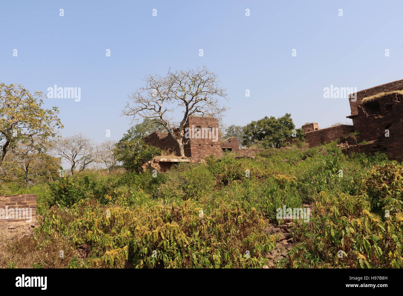Ruins of thousand years old Narwar Fort Stock Photo - Alamy
