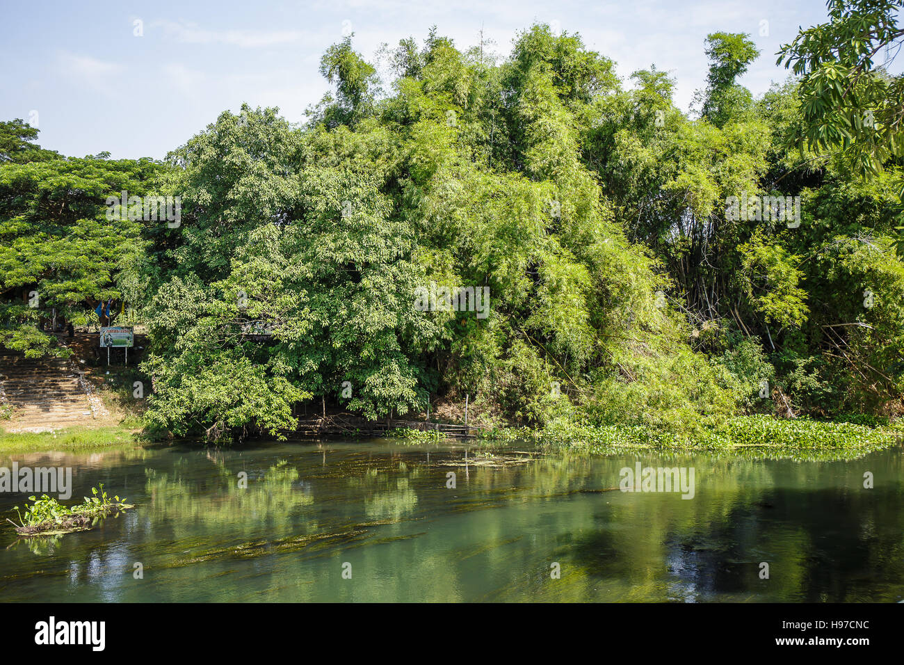 Bamboo in the river Stock Photo - Alamy