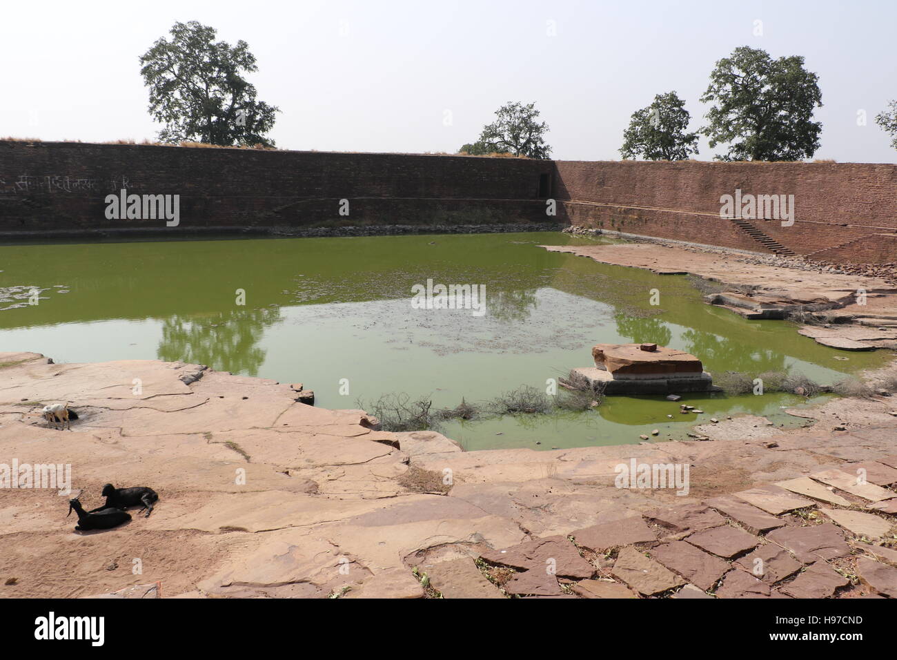 Ruins of thousand years old Narwar Fort Stock Photo - Alamy