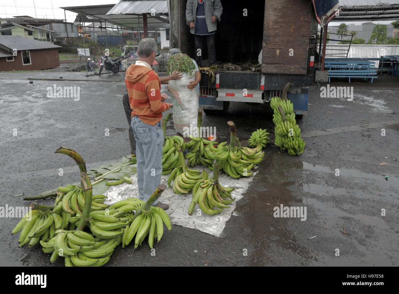 Ecuador, amazon, Banos, fruits, market Stock Photo - Alamy