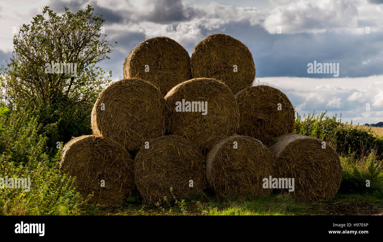Caudle High Resolution Stock Photography and Images - Alamy