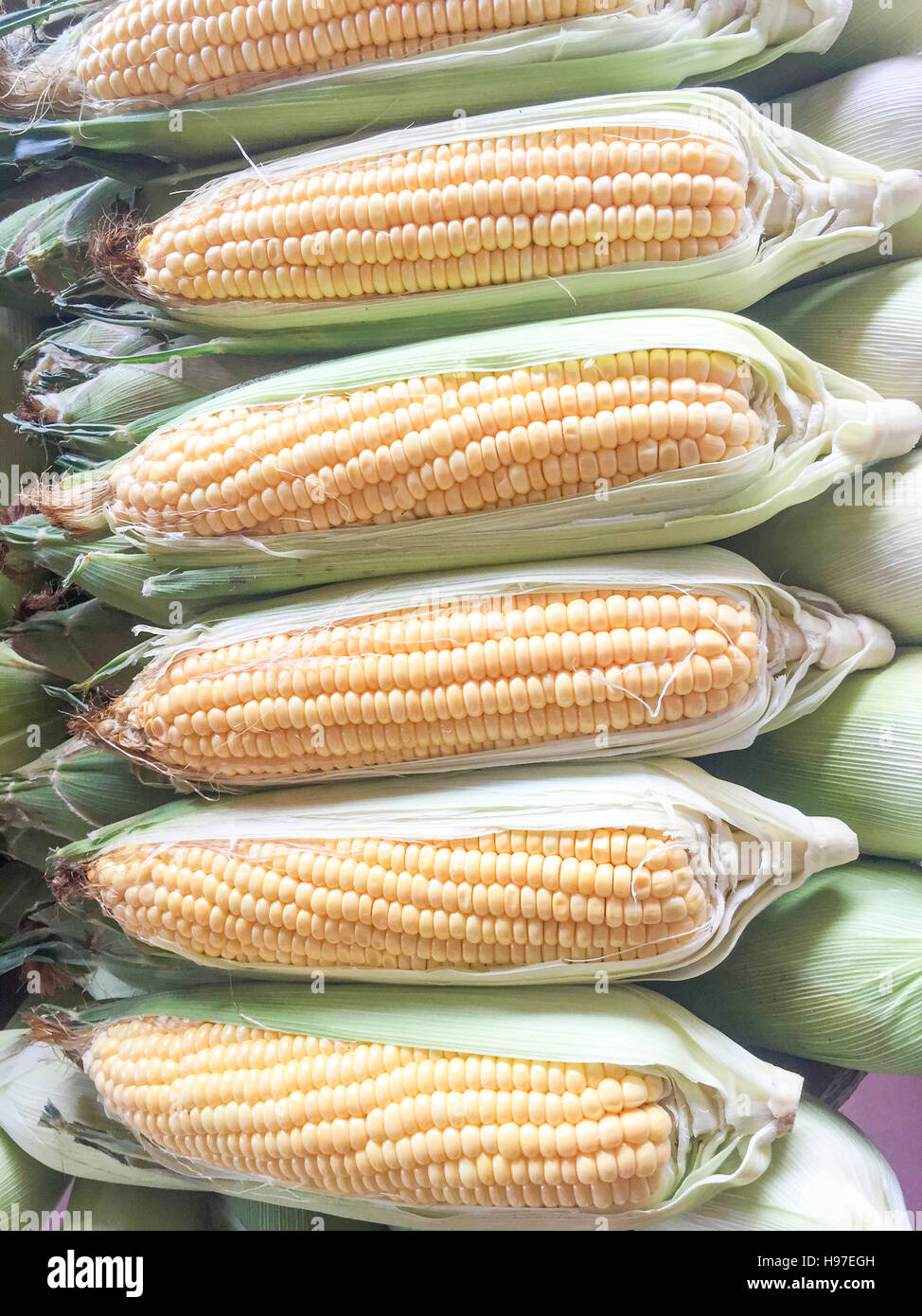Corn display hi-res stock photography and images - Alamy