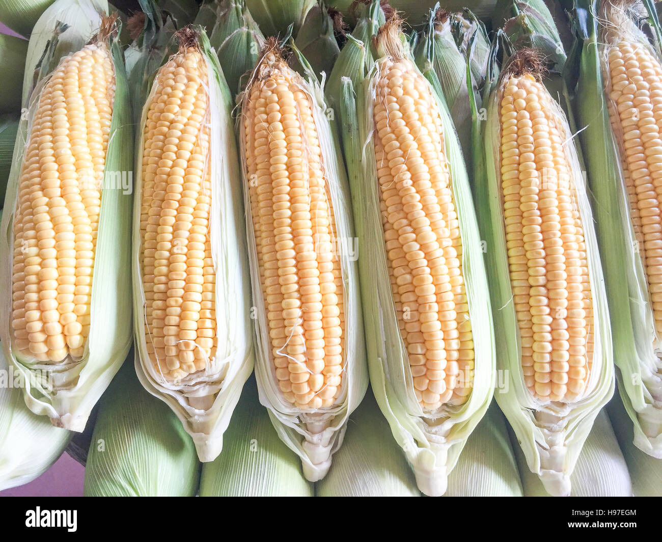 Corn display hi-res stock photography and images - Alamy