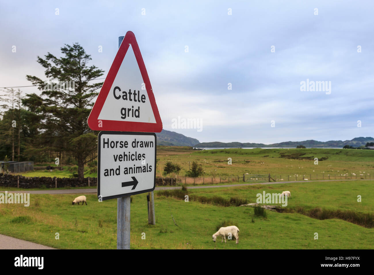 Cattle Grid warning sign on road at Toberonochy, Luing Stock Photo - Alamy