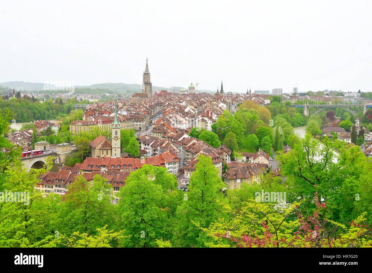 Switzerland Bern Rose Garden High Resolution Stock Photography and ...