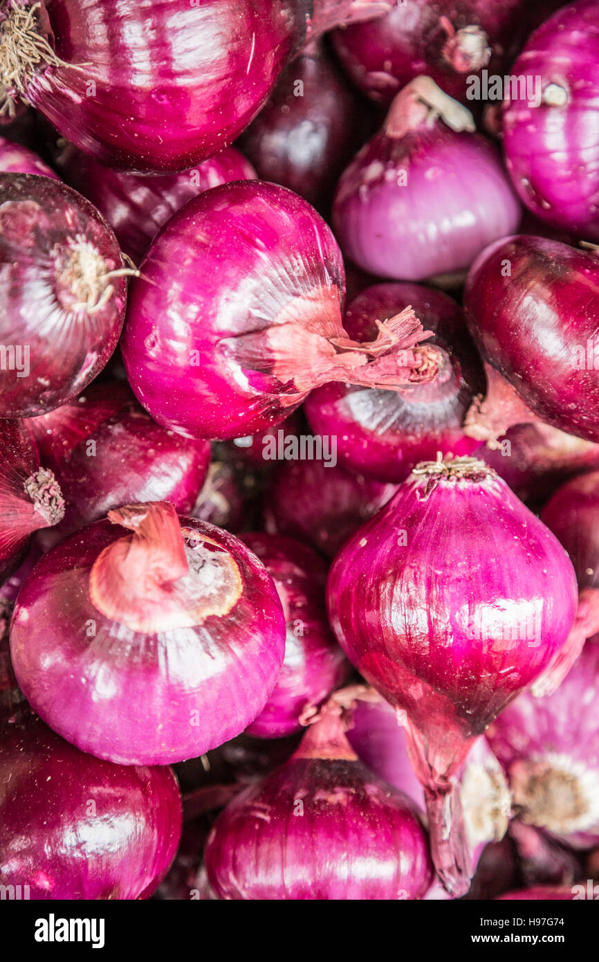 Red onions for sale on a market stall in town of Bergerac France Stock ...