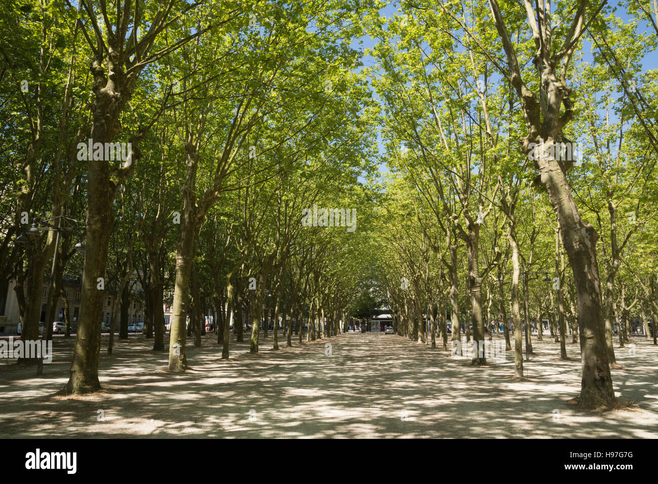 Quinconces park hi-res stock photography and images - Alamy