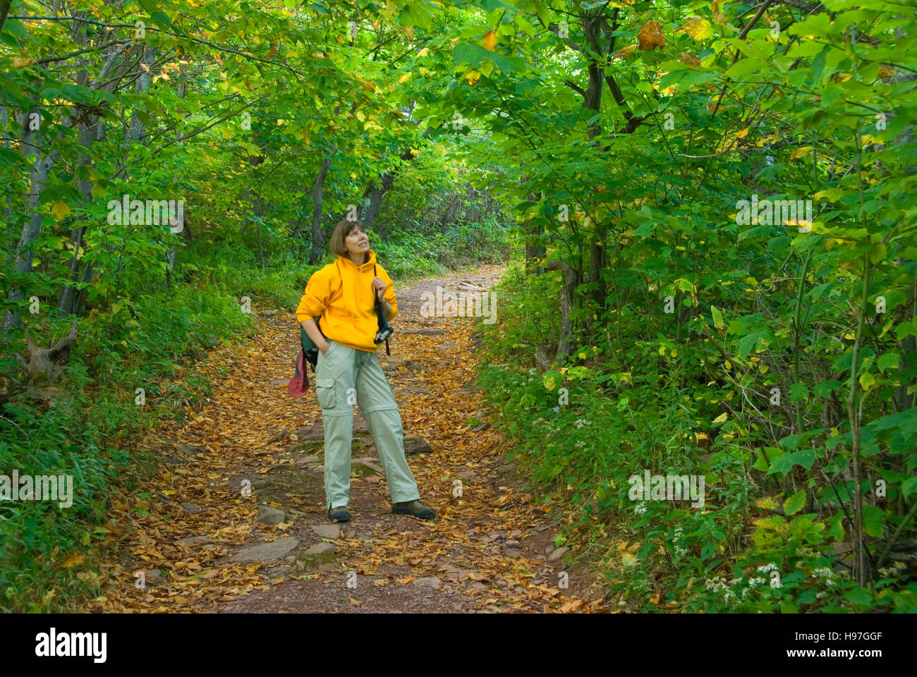 Overlook Spur Trail, Overlook Mountain Wild Forest, Catskill Forest ...