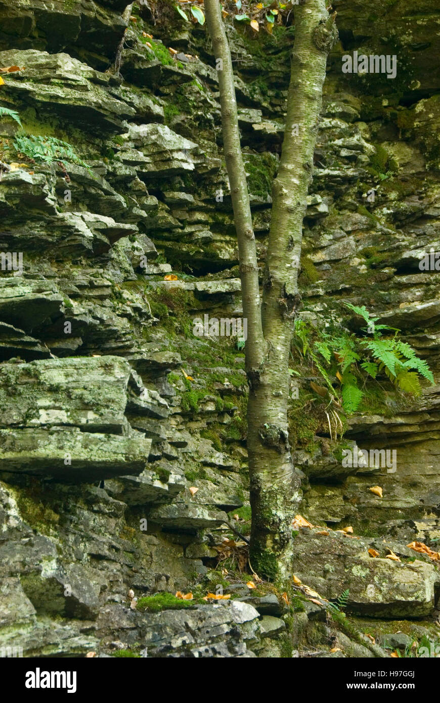 Catskills mountains hike hi-res stock photography and images - Alamy
