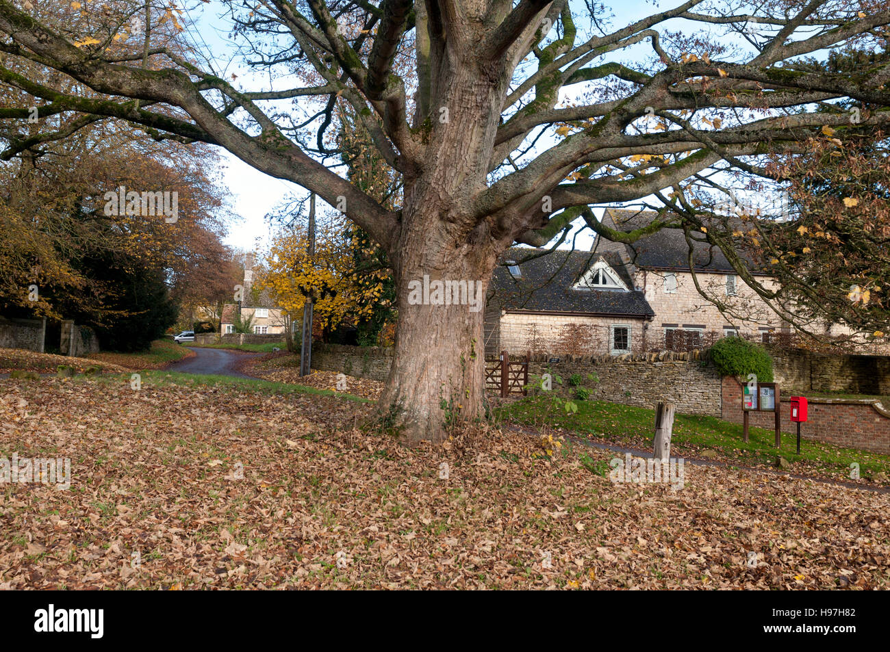 Hinton in the hedges hi-res stock photography and images - Alamy