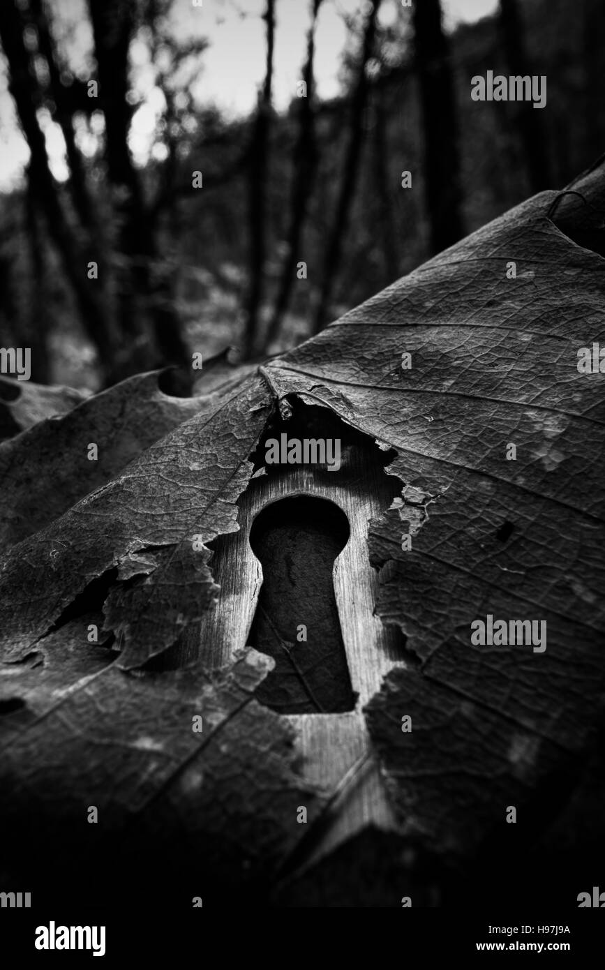 Key hole Black and White Stock Photos & Images - Alamy