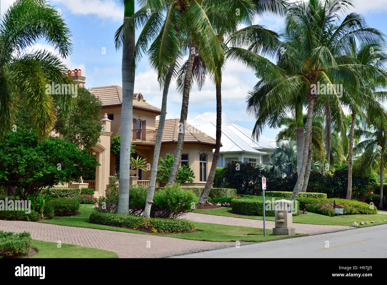 Residential street Naples, Florida, USA with palm trees and homes Stock ...
