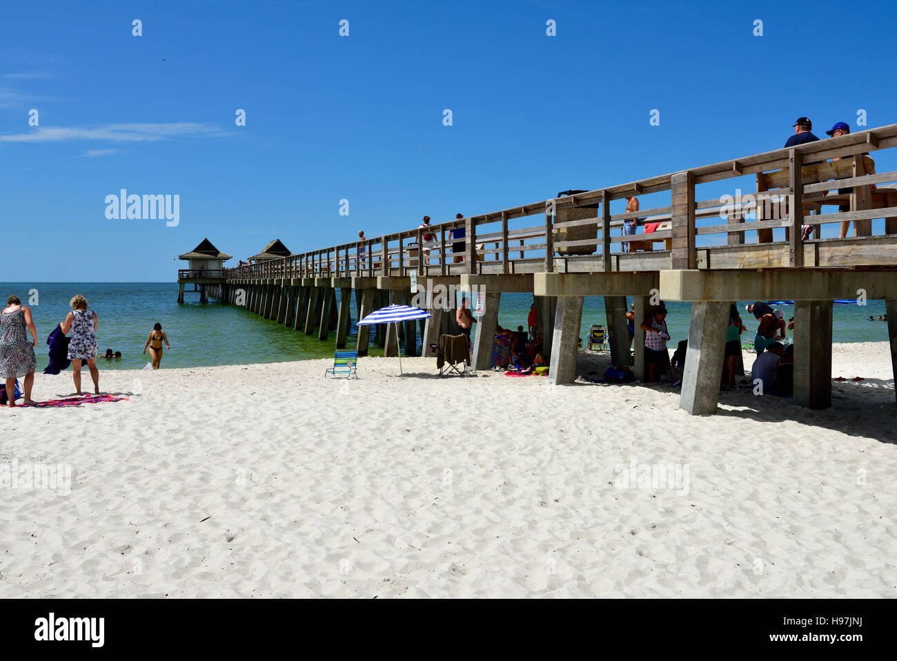 Sandy beach and pier, Naples, Florida, USA Stock Photo - Alamy
