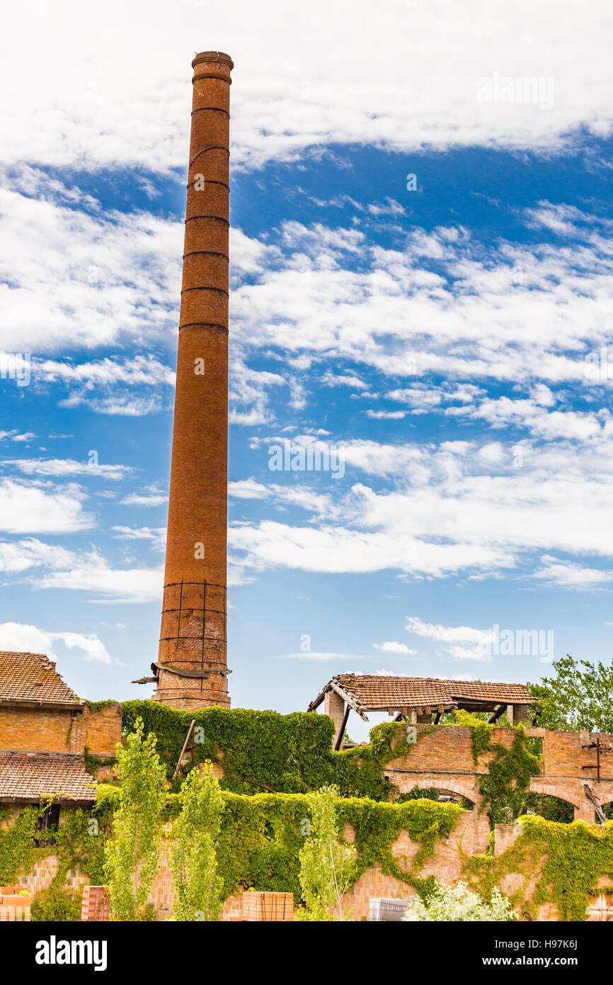 chimney of old disused factory covered by Virginia creeper Stock Photo ...