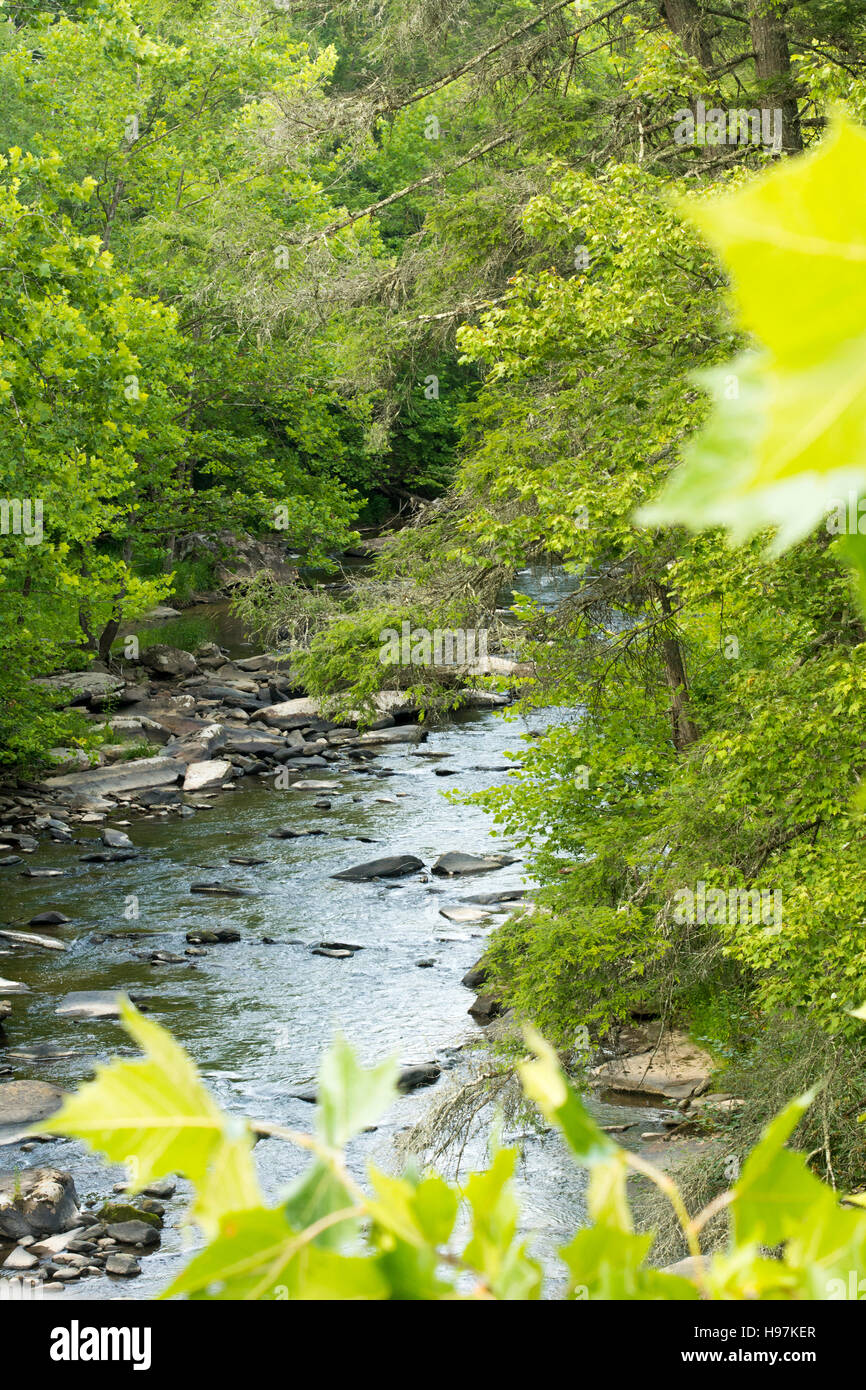 Guest River Gorge - Guest River Stock Photo - Alamy