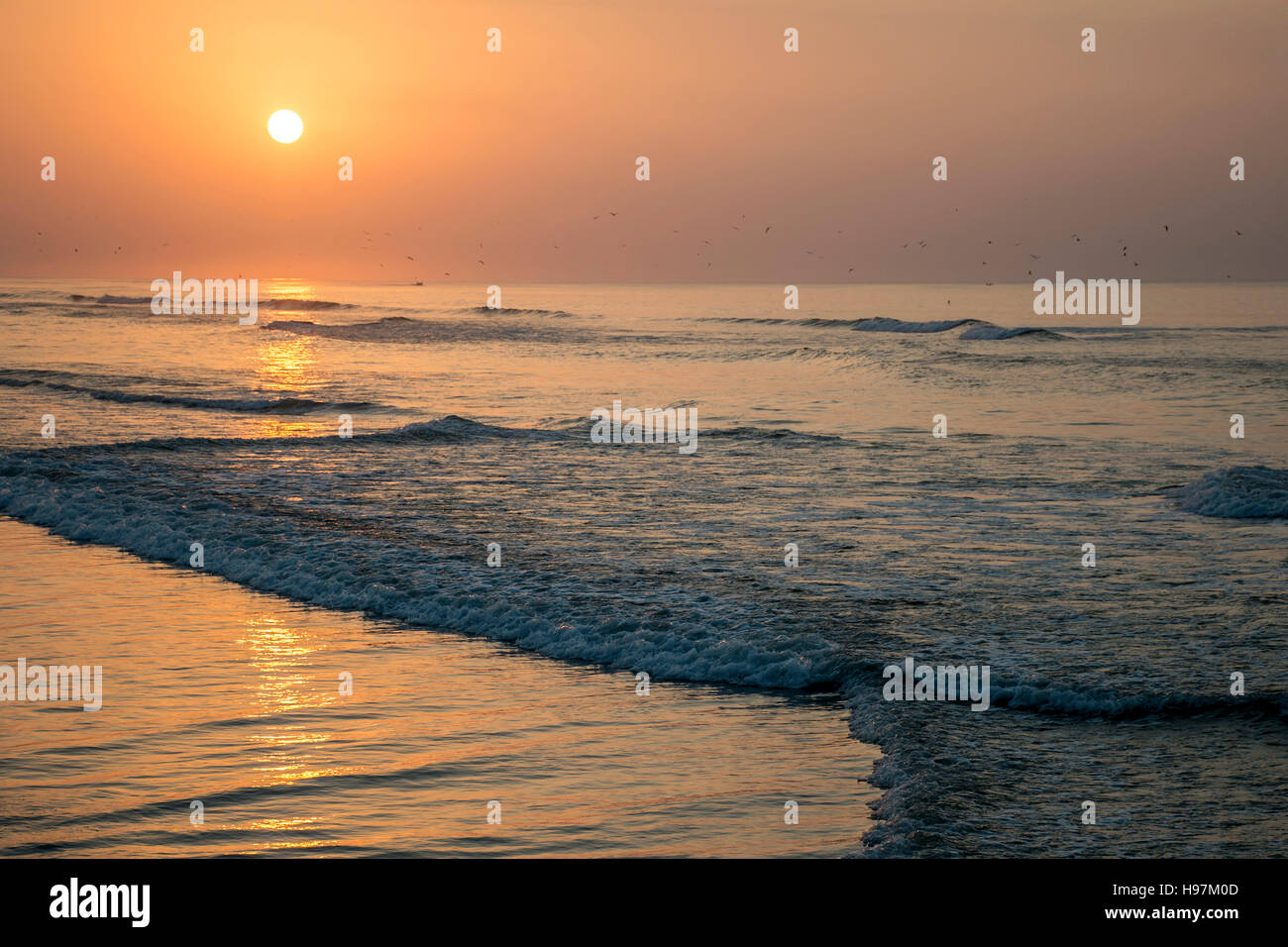 Amazing Sunset red sky waves at the beach in Salalah Oman 9 Stock Photo ...