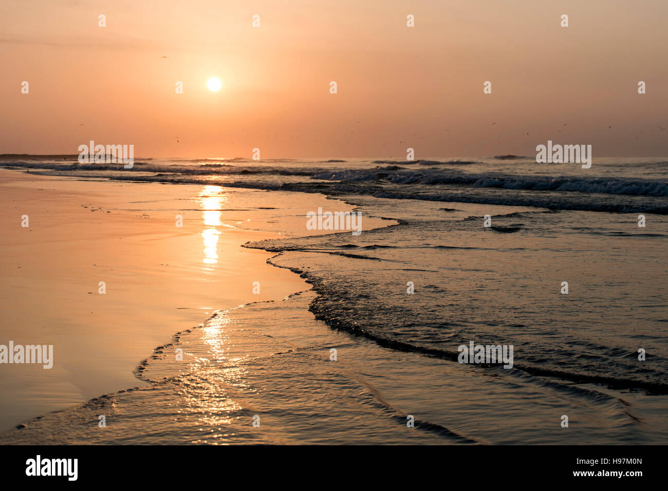 Amazing Sunset red sky waves at the beach in Salalah Oman 12 Stock ...