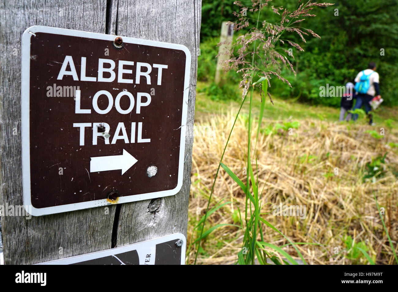 Man hiking with a young child at the Eagle River Nature Center (Albert Loop Trail), Alaska Stock ...