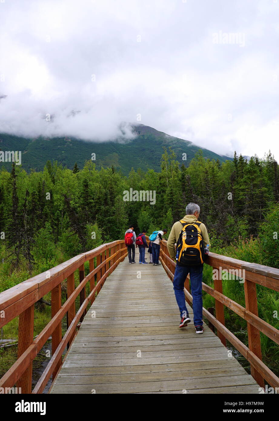 Hiker walking on the boardwalk at the Eagle River Nature Center (Albert Loop Trail), Alaska ...