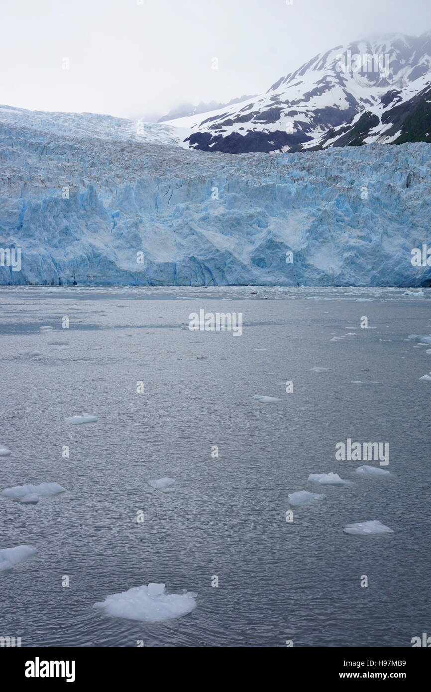 Pieces of ice floating in the Alaskan glacier water, Kenai Fjords ...