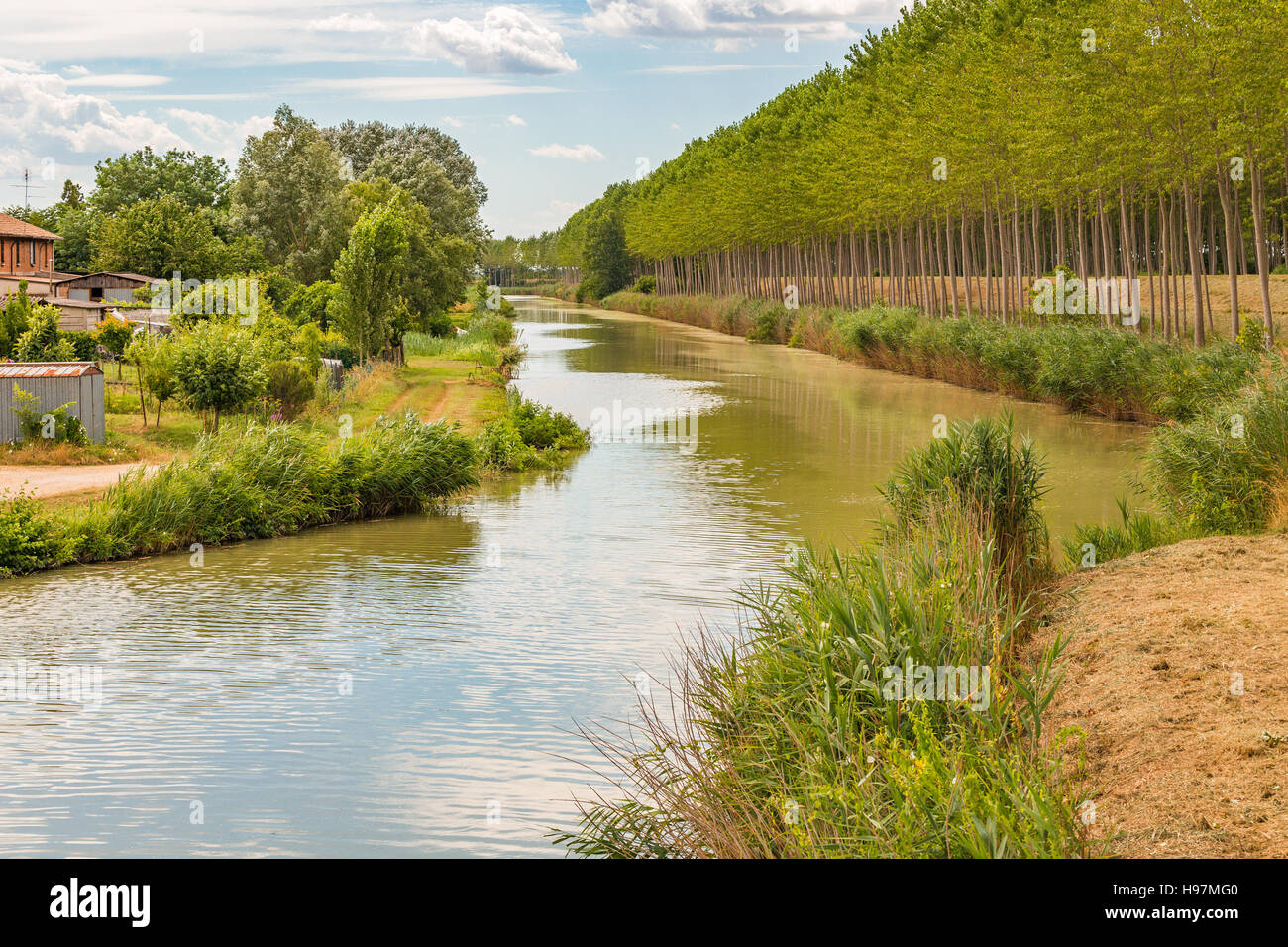 Weeds running hi-res stock photography and images - Alamy