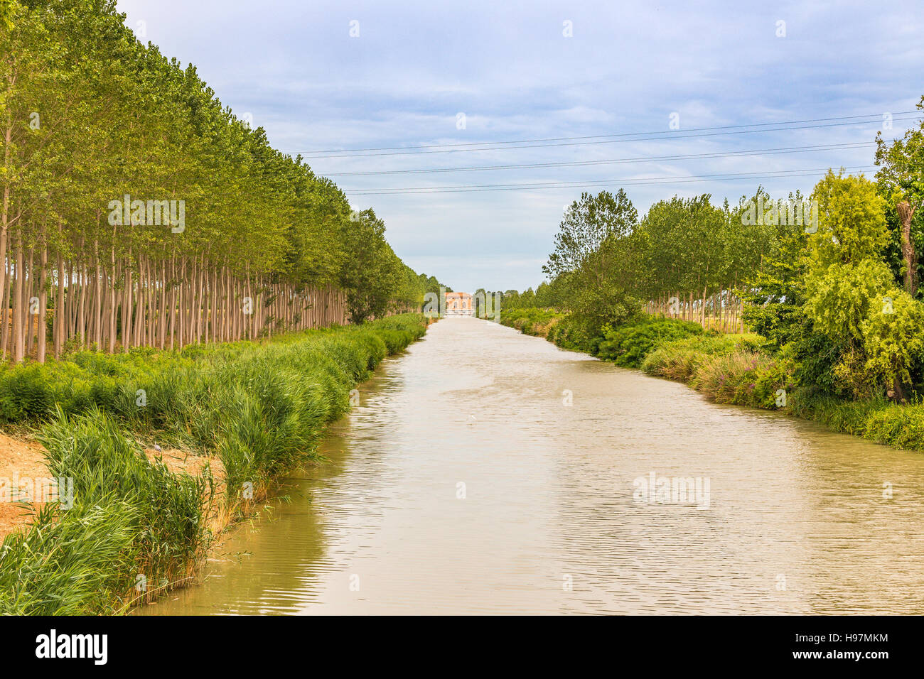 large irrigation canal running trough rows of trees to ancient ...