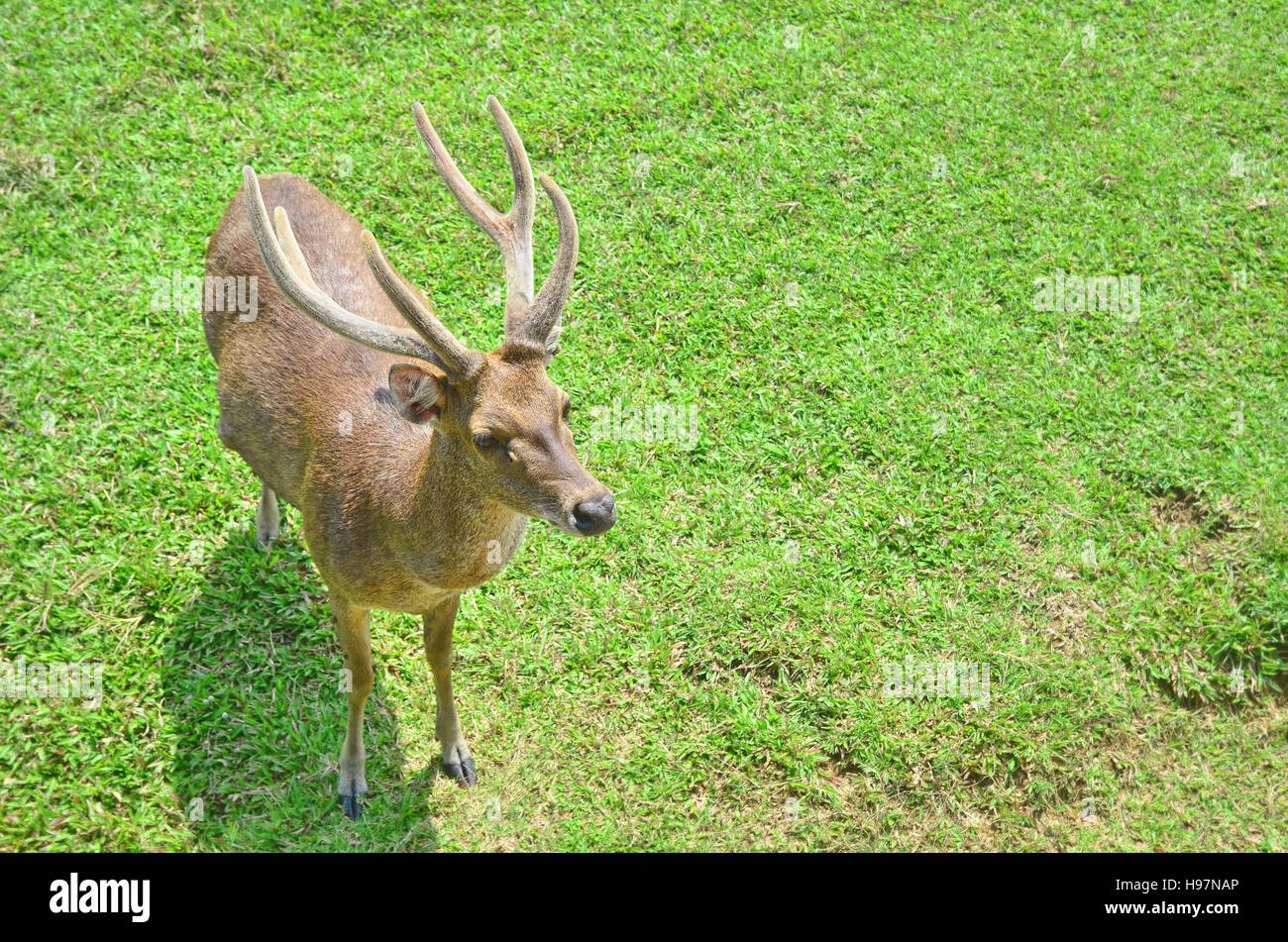 Sanctuary nature hi-res stock photography and images - Alamy