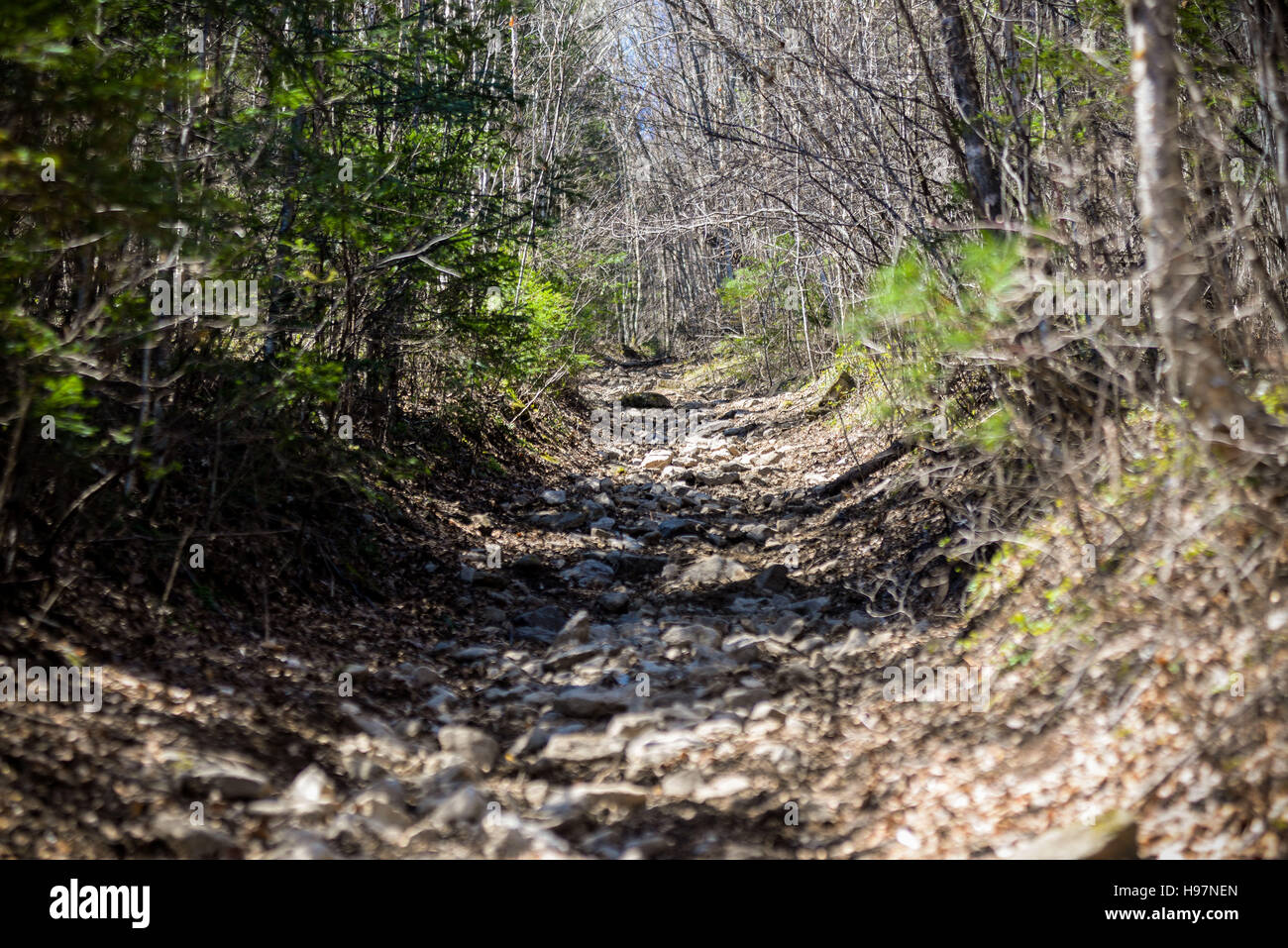 hard road of stones Stock Photo - Alamy