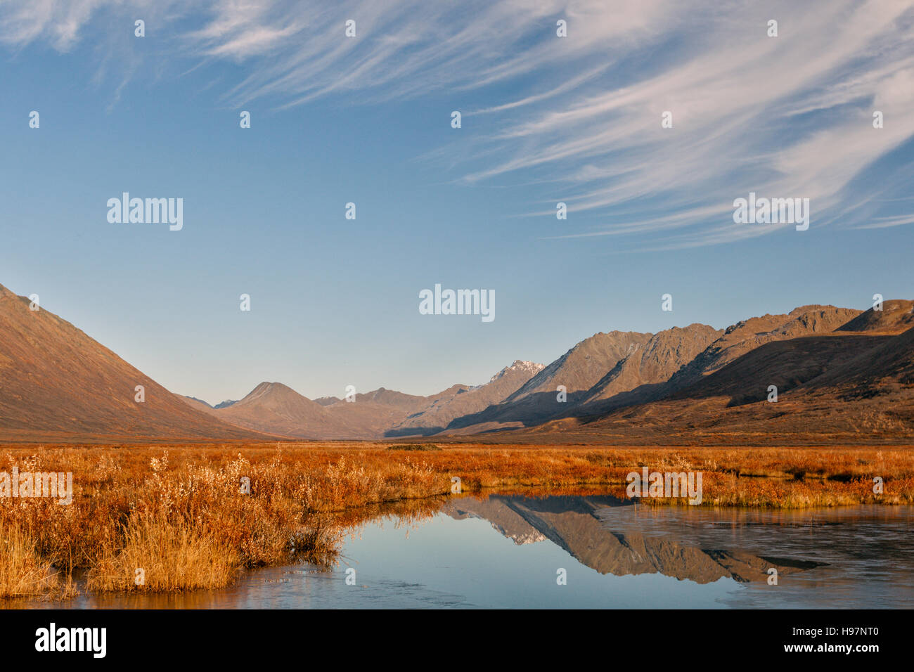 A beaver pond reflecting the fall colors of the Alaskan Range mountains ...