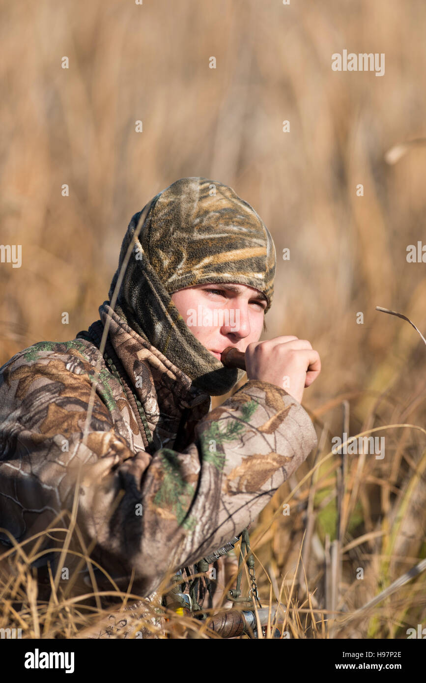 A young hunter blowing a duck and goose call Stock Photo - Alamy