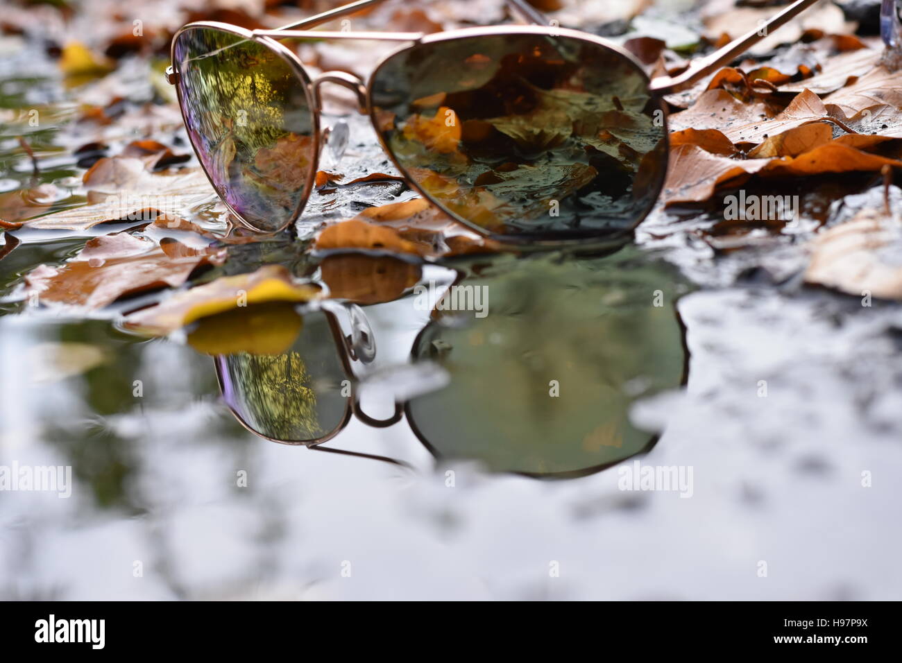 Reflecting sun glasses Stock Photo - Alamy