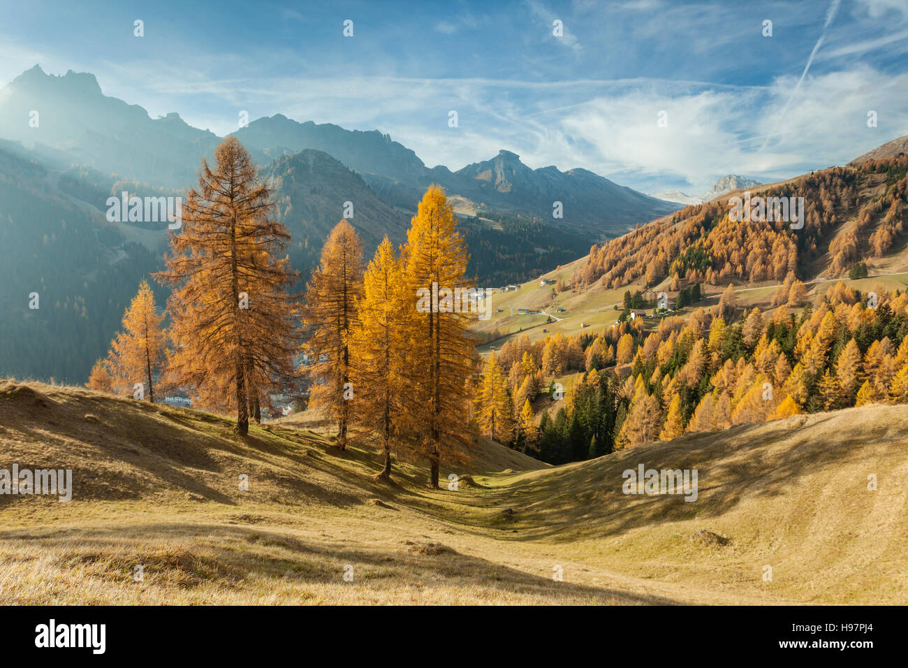 Autumn morning on an alpine meadow in the Dolomites, Italy Stock Photo ...