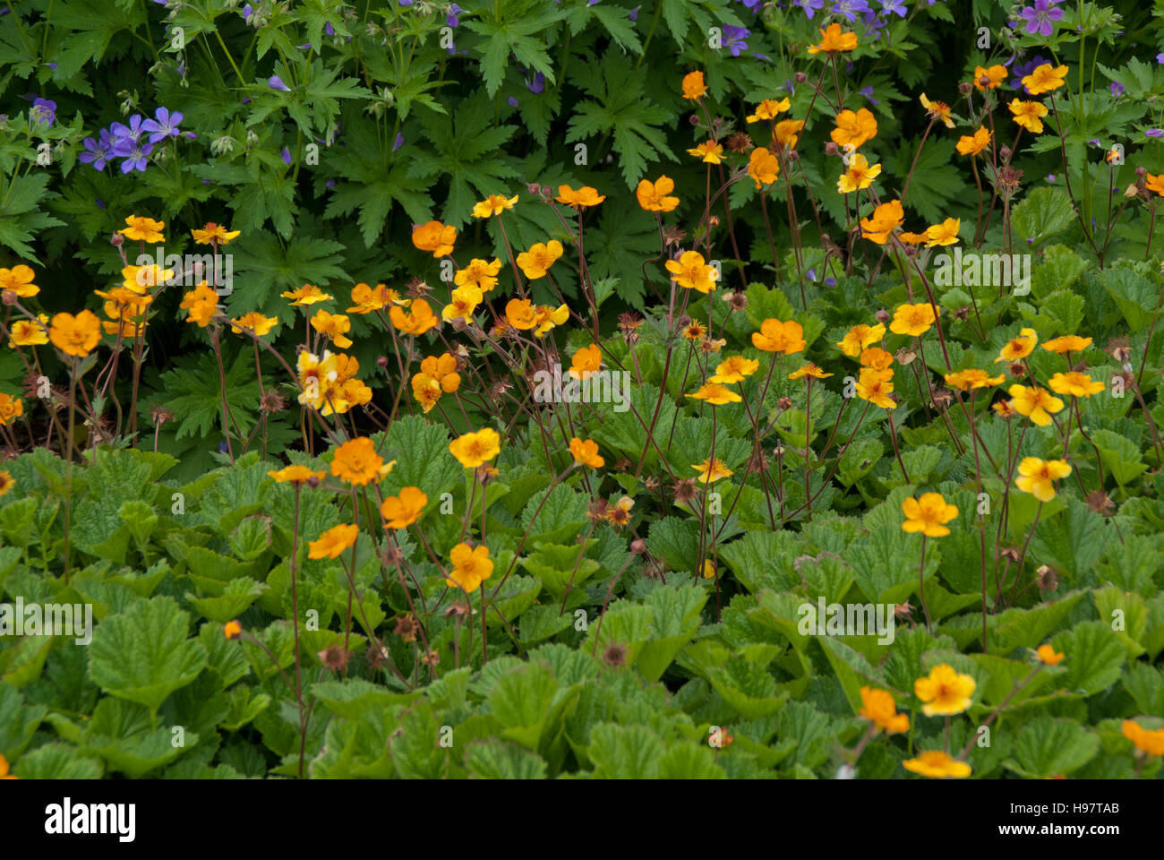 Georgenberg hi-res stock photography and images - Alamy