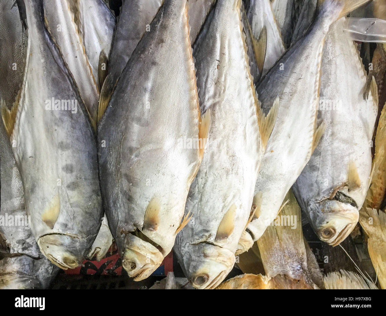 dried salted fish on display at fish market Stock Photo - Alamy