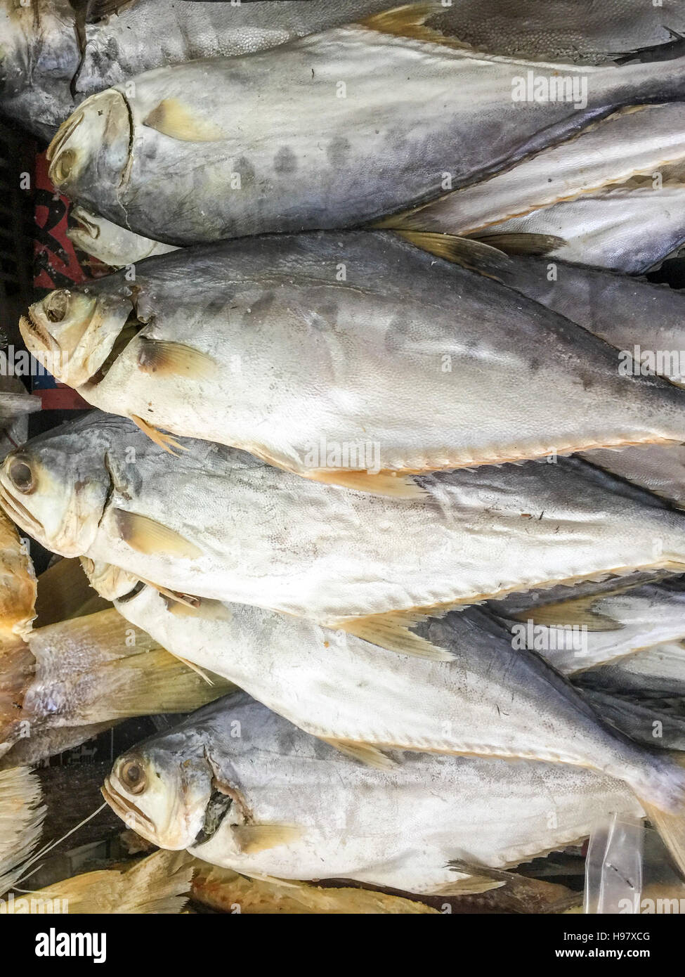 dried salted fish on display at fish market Stock Photo - Alamy