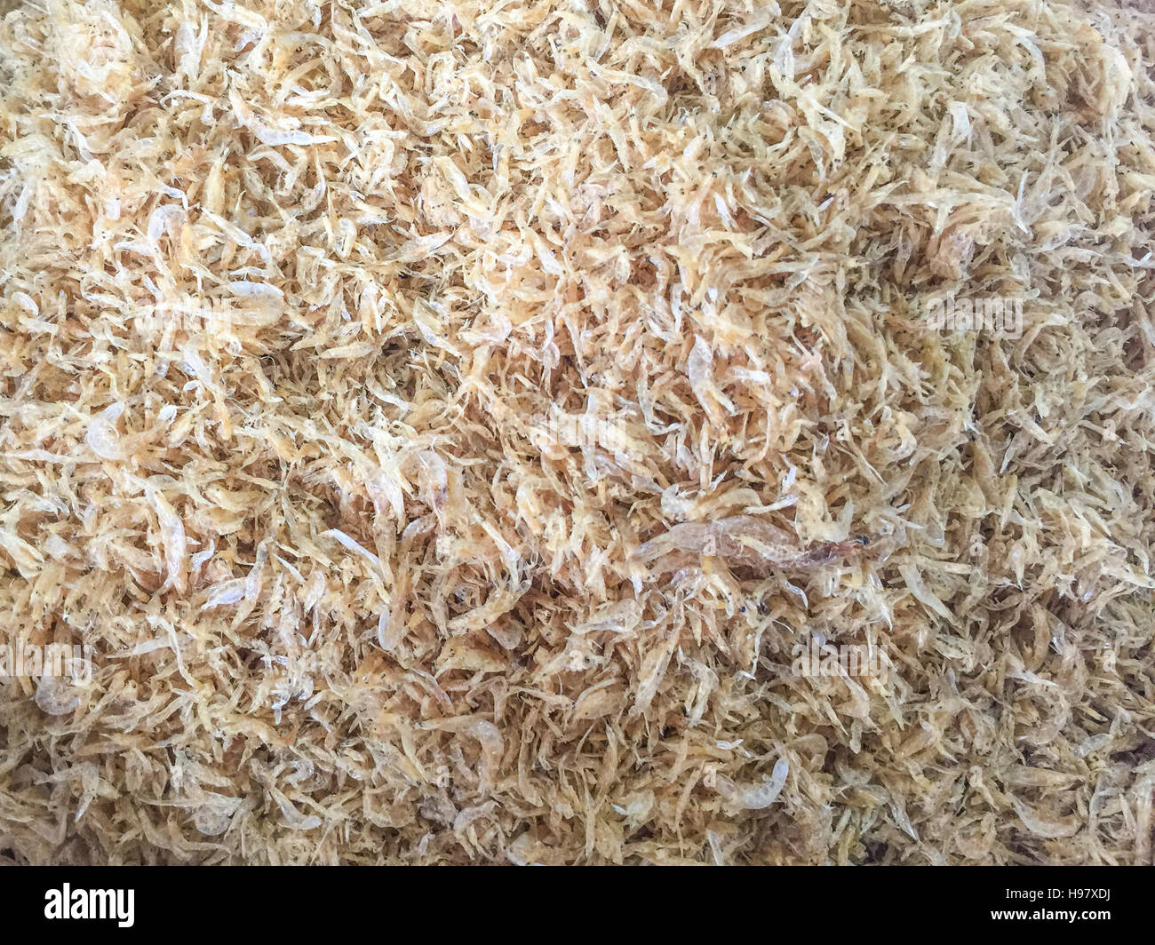 Dried shrimp powder hi-res stock photography and images - Alamy
