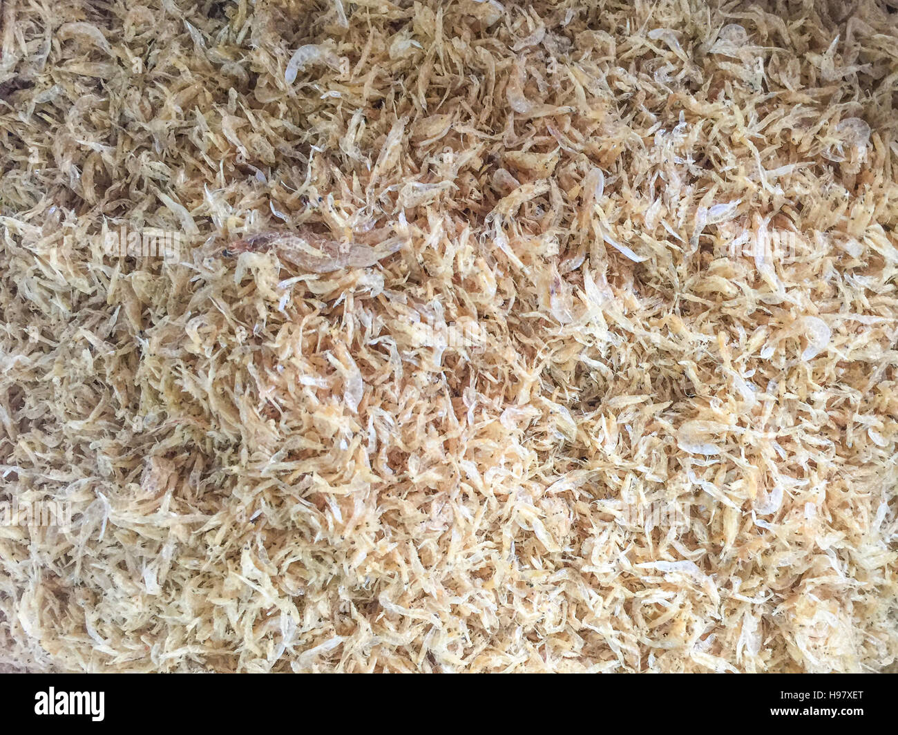 Dried salted shrimp powder or local called Bubuk Udang on display at ...