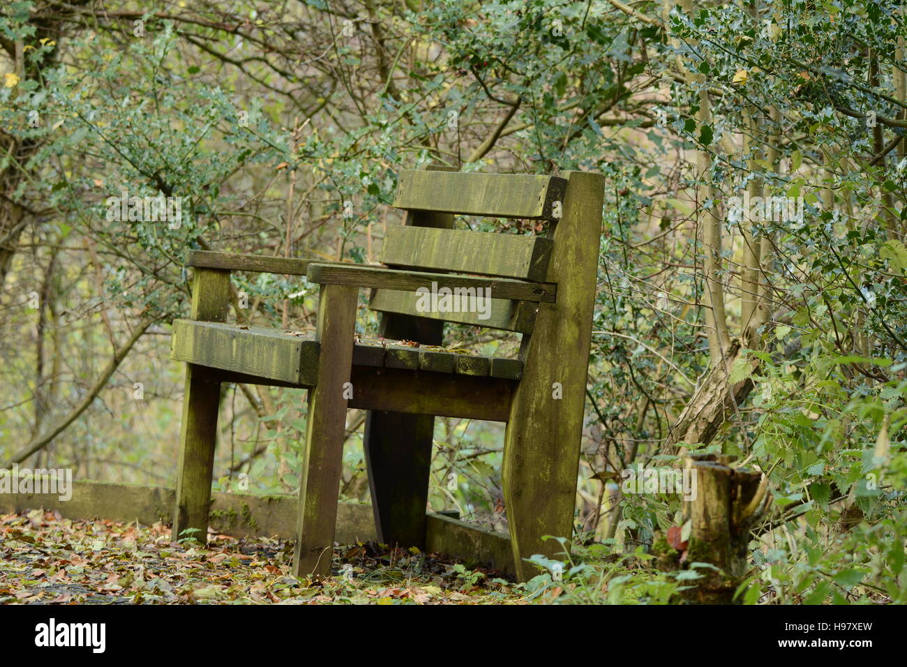 Bench clearing hi-res stock photography and images - Alamy