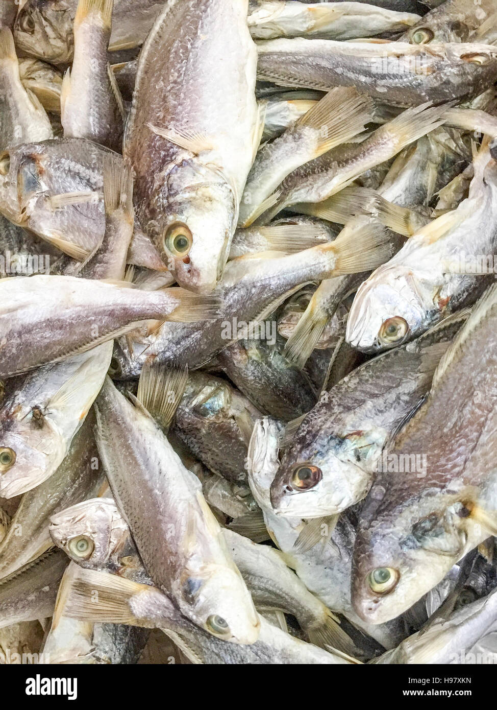 dried salted fish on display at fish market Stock Photo - Alamy