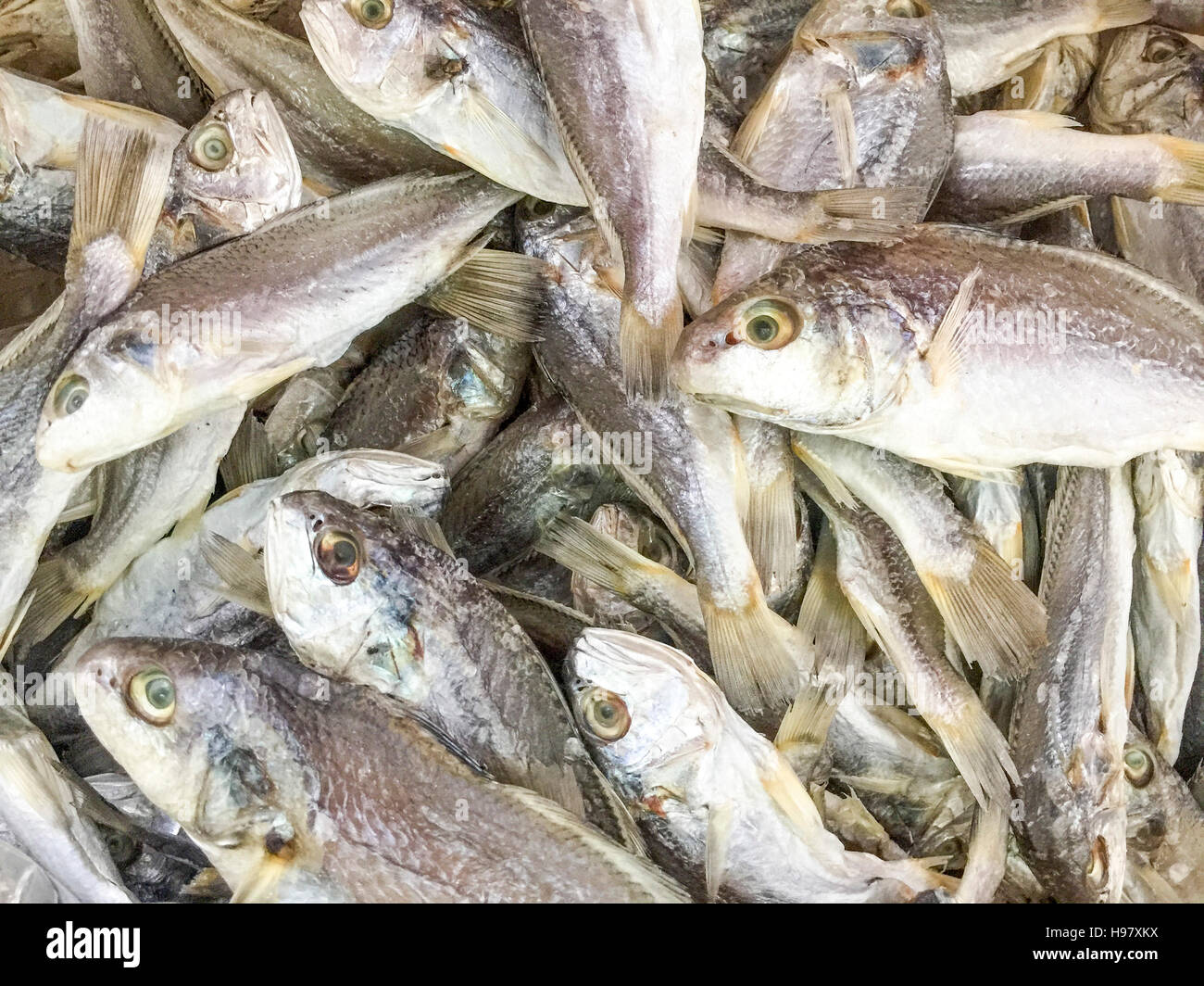 dried salted fish on display at fish market Stock Photo - Alamy