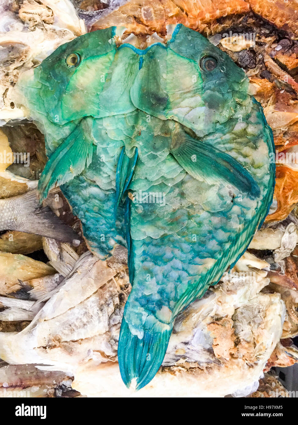 Peacock Salted Fish Stock Photo - Alamy