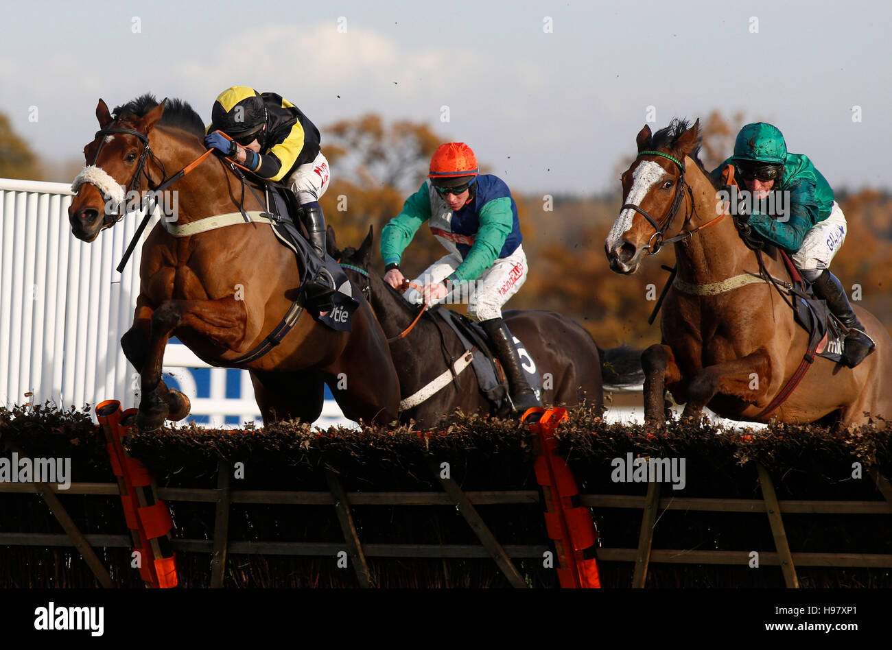Elegant Escape ridden by Tom Scudamore leads the field over the last ...