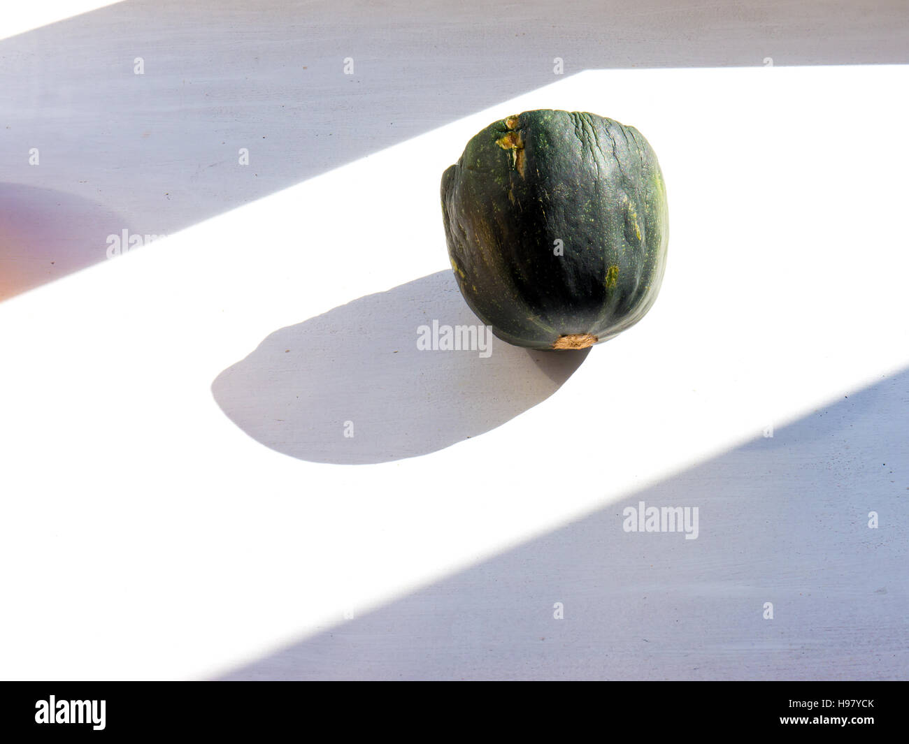 The nature raw squash object Stock Photo - Alamy