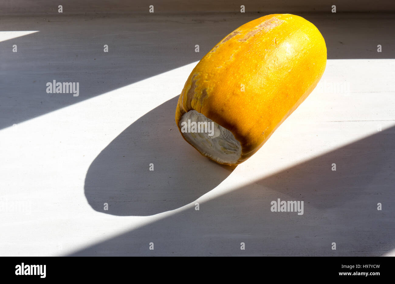 The nature raw squash object Stock Photo - Alamy