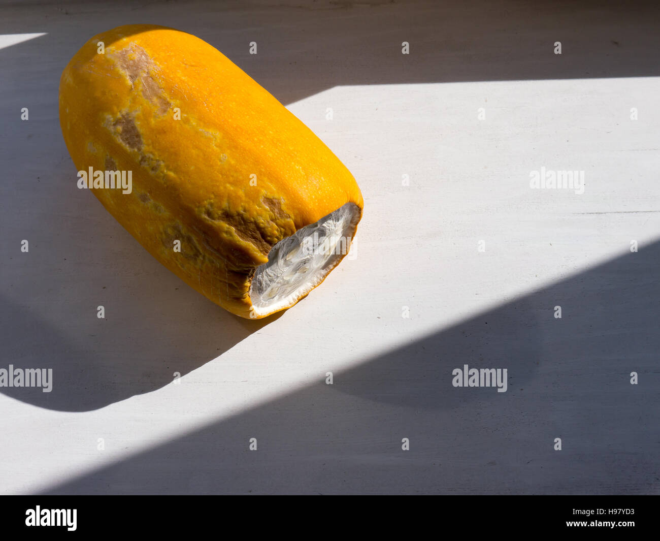 The nature raw squash object Stock Photo - Alamy