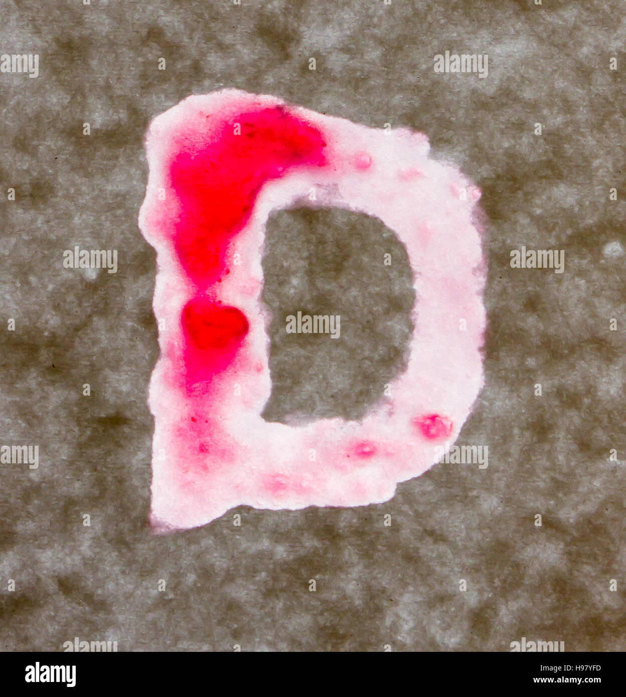 Letter d emblem hi-res stock photography and images - Alamy